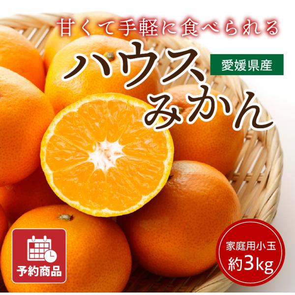 ＼予約開始しました／※出荷開始まで代引き不可です。※品種の育成状況により、入荷及び出荷開始時期は前後いたします。甘くて手軽に食べられる人気品種！子供からお年寄りまで喜ばれます！お届け期間目安：7月中旬〜8月下旬　内容：家庭用 小玉 約3kg...