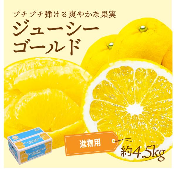 ＼出荷開始しました！／お届け期間目安：４月中旬〜８月上旬頃まで木成り完熟栽培（出荷の直前まで木になったまま）のため、5〜6月半ばごろの果実は、甘さとほどよい酸味があり果汁が多くジューシーです。７月以降の果実は、果汁が少なくなりプチプチとした...