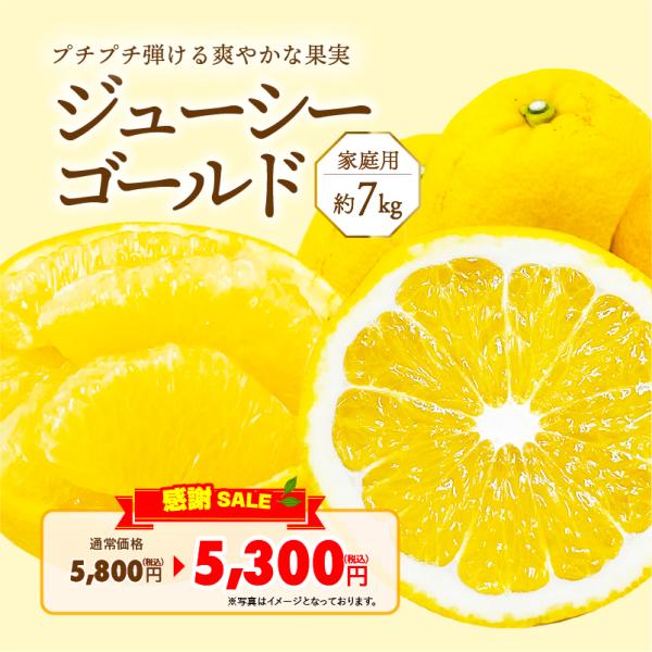 ＼感謝セール500円OFF／お届け期間目安：４月中旬〜８月上旬頃まで通常価格5,800円がなんと5,300円！！木成り完熟栽培（出荷の直前まで木になったまま）のため、5〜6月半ばごろの果実は、甘さとほどよい酸味があり果汁が多くジューシーです...