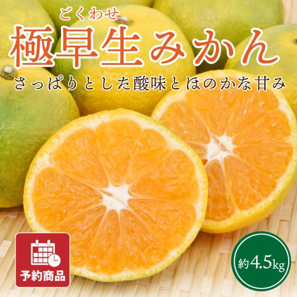 ＼予約開始いたしました／さっぱりとした酸味とほのかな甘みのバランスが絶妙です。お届け期間目安：9月下旬〜10月中旬※出荷開始まで代引き不可です。※品種の育成状況により、入荷及び出荷開始時期は前後いたします。【内容】約4.5kg※掲載写真はイ...