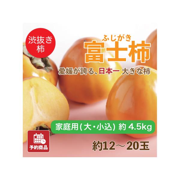 ＼予約開始しました／お届け期間目安：10月中旬〜12月中旬※出荷開始まで代引き不可です。※品種の育成状況により、入荷及び出荷開始時期は前後いたします。国内最大級の大きさを誇る富士柿は、愛媛県八幡浜市の限られた地域のみで栽培されている大変希少...