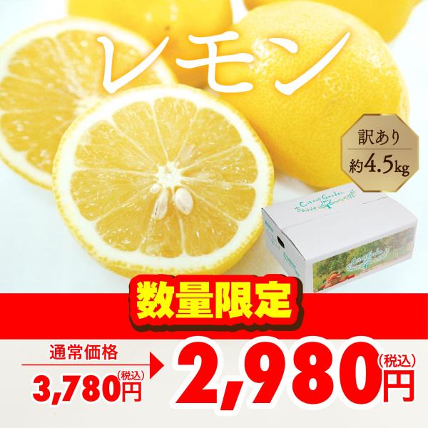 防腐剤・防カビ剤・ワックスは使用しておりません。完全に無農薬ではございませんが、農協基準に従い収穫２〜３週間前からは農薬を使用しておりません。＼数量限定　大特価にて再販！／通常価格3,780円がなんと2,980円！！お届け期間目安：3月下旬...