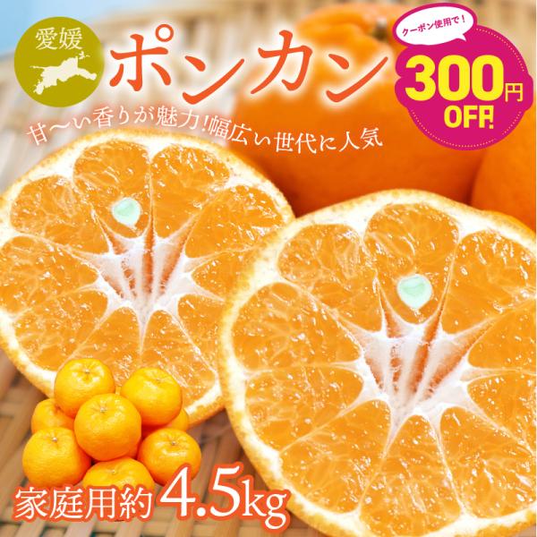 ＼予約開始いたしました！／お届け期間目安：1月上旬〜3月上旬頃※出荷開始まで代引き不可です。※品種の育成状況により、入荷及び出荷開始時期は前後いたします。とっても甘い香りが魅了です！甘いだけでなく食べやすいので幅広い世代に人気です。内容量 ...