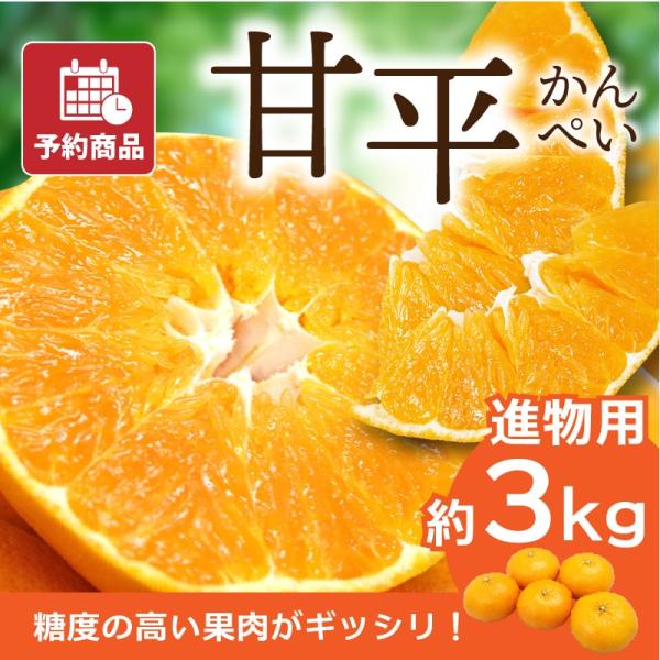 ＼予約開始いたしました／お届け期間目安：1月下旬〜3月上旬※出荷開始まで代引き不可です。※品種の育成状況により、入荷及び出荷開始時期は前後いたします。極薄の皮の中に 糖度の高い果肉が ギッシリ！内容量 家庭用 約3kg保存方法 直射日光を避...