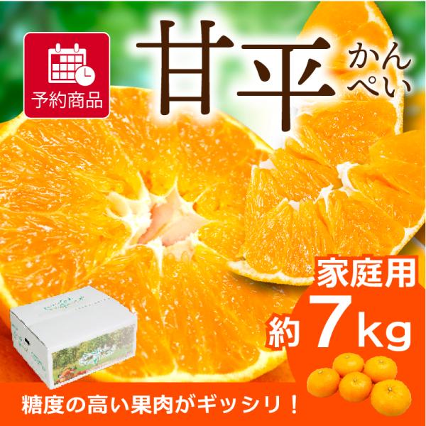 ＼予約開始いたしました／お届け期間目安：1月下旬〜3月上旬※出荷開始まで代引き不可です。※品種の育成状況により、入荷及び出荷開始時期は前後いたします。極薄の皮の中に 糖度の高い果肉が ギッシリ！甘平は甘くてプチプチとした食感、種もほとんどな...