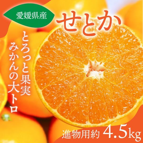 ＼出荷開始いたしました／お届け開始：2月上旬〜2月中旬頃お届け終了：4月上旬頃濃厚な甘味が詰まってトロリととろける食感がおいしいです！内容量 進物用 約4.5kg保存方法 直射日光を避け、常温保存保証について：お客様事情により発送から3日後...