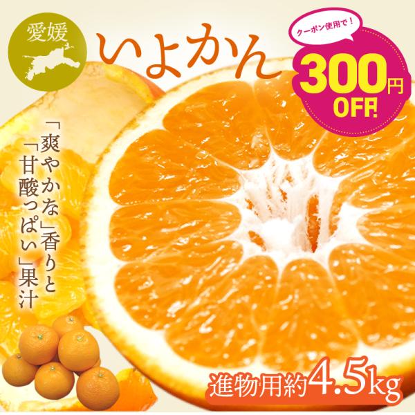 ＼出荷開始いたしました！／お届け期間目安：1月上旬〜3月中旬愛媛が誇る代表みかんです。爽やかな香りと甘酸っぱい果汁がたっぷりです。内容量 進物用 約4.5kg保存方法 直射日光を避け、常温保存保証について：お客様事情により発送から3日後以降...
