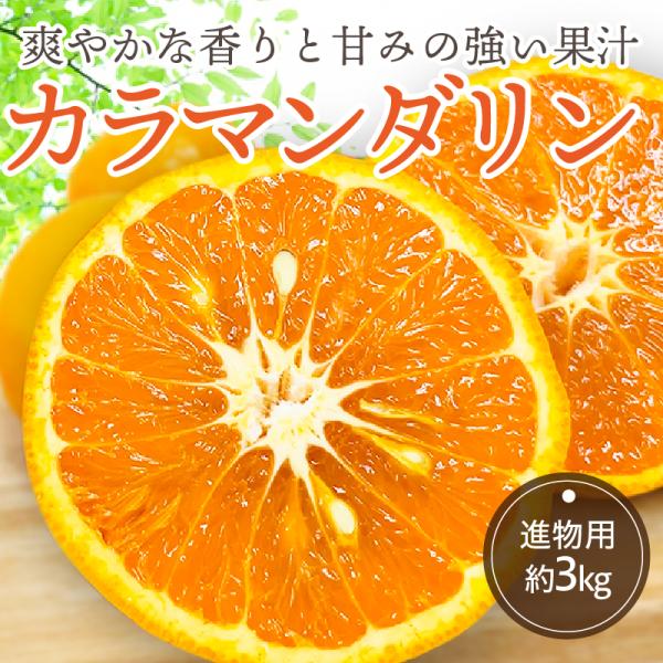 ＼出荷開始しました！／お届け期間目安：4月中旬〜5月中旬オレンジ風の温州みかんです。爽やかな香りと甘みの強い果汁で、手軽に食べられます。内容量 進物用 約3kg保存方法 直射日光を避け、常温保存保証について：お客様事情により発送から3日後以...