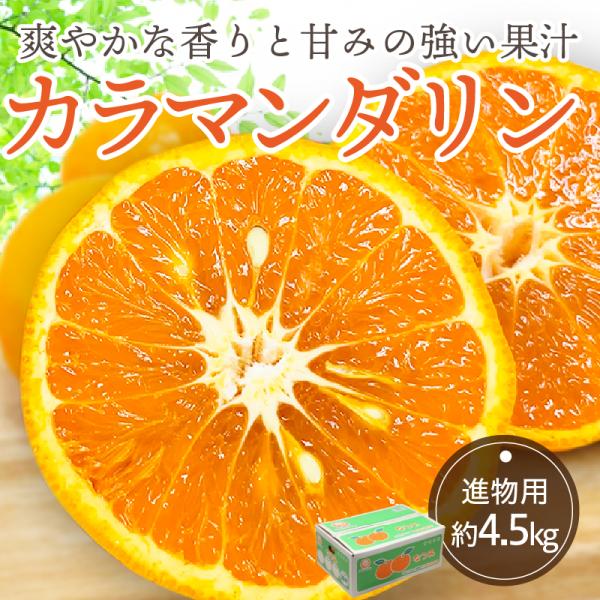 ＼出荷開始しました！／お届け期間目安：4月中旬〜5月中旬オレンジ風の温州みかんです。爽やかな香りと甘みの強い果汁で、手軽に食べられます。内容量 進物用 約4.5kg保存方法 直射日光を避け、常温保存保証について：お客様事情により発送から3日...