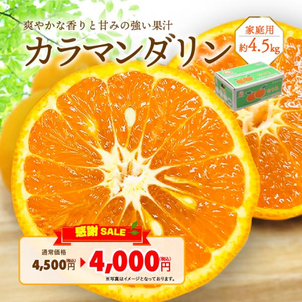 ＼感謝セール500円OFF／お届け期間目安：4月中旬〜5月中旬通常価格4,500円がなんと4,000円！！オレンジ風の温州みかんです。爽やかな香りと甘みの強い果汁で、手軽に食べられます。内容量 家庭用 約4.5kg保存方法 直射日光を避け、...