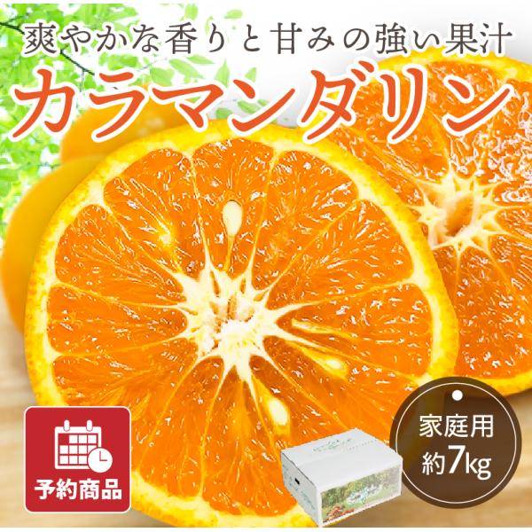 ＼予約開始いたしました！／お届け期間目安：4月中旬〜5月中旬※出荷開始まで代引き不可です。※品種の育成状況により、入荷及び出荷開始時期は前後いたします。オレンジ風の温州みかんです。爽やかな香りと甘みの強い果汁で、手軽に食べられます。内容量 ...
