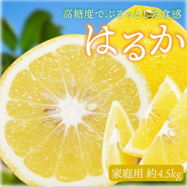 ＼出荷開始いたしました！／お届け期間目安：2月中旬〜4月上旬黄色い見た目と違って、酸味がなく高糖度でぷるっとした食感が特徴です。内容量 家庭用 約4.5kg保存方法 直射日光を避け、常温保存保証について：お客様事情により発送から3日後以降に...