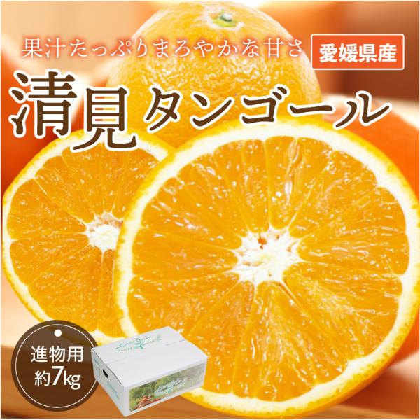 ＼出荷開始いたしました！／お届け期間目安：3月上旬〜４月下旬果汁たっぷりでまろやかな甘さがおいしいです。内容量 進物用 約7kg保存方法 直射日光を避け、常温保存保証について：お客様事情により発送から3日後以降に受け取りをされた商品の劣化や...
