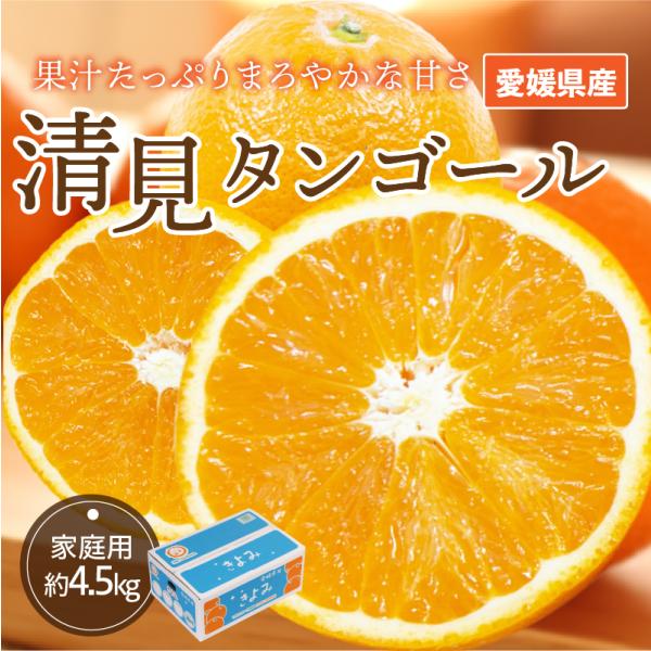 ＼出荷開始いたしました！／お届け期間目安：3月上旬〜４月下旬果汁たっぷりでまろやかな甘さがおいしいです。内容量 家庭用 約4.5kg保存方法 直射日光を避け、常温保存保証について：お客様事情により発送から3日後以降に受け取りをされた商品の劣...