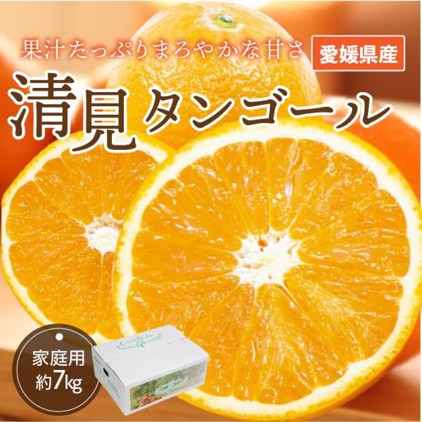 ＼出荷開始いたしました！／お届け期間目安：3月上旬〜４月下旬果汁たっぷりでまろやかな甘さがおいしいです。内容量 家庭用 約7kg保存方法 直射日光を避け、常温保存保証について：お客様事情により発送から3日後以降に受け取りをされた商品の劣化や...