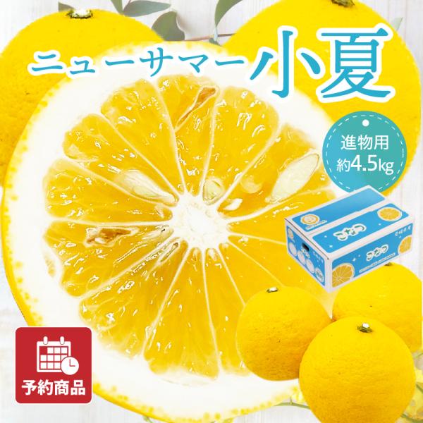 ＼予約開始いたしました！／お届け期間目安：４月上旬〜5月中旬※出荷開始まで代引き不可です。※品種の育成状況により、入荷及び出荷開始時期は前後いたします。酸味が少なく、甘さぎっしりで大人気のみかんです。内容量 進物用 約4.5kg保存方法 直...