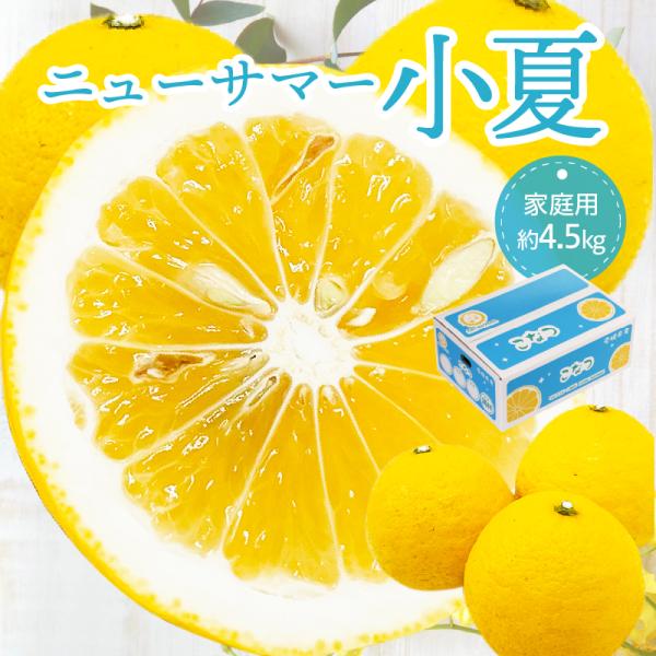 ＼出荷開始しました！／お届け期間目安：４月上旬〜5月中旬酸味が少なく、甘さぎっしりで大人気のみかんです。内容量 家庭用 約4.5kg保存方法 直射日光を避け、常温保存保証について：お客様事情により発送から3日後以降に受け取りをされた商品の劣...