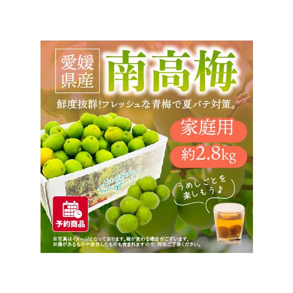 ＼予約開始しました／お届け期間目安：６月上旬〜６月下旬こちらは「家庭用」での販売となります。※見た目に傷や変色があるものが含まれますので、予めご了承ください。※出荷開始まで代引き不可です。※品種の育成状況により、入荷及び出荷開始時期は前後い...