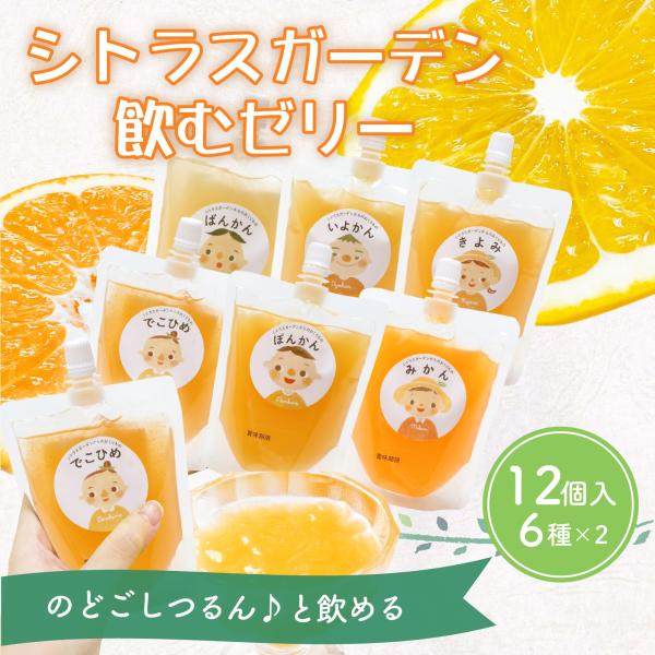＼つるんとのどごし♪フルーツゼリー／ビタミンたっぷりの人気柑橘を食べやすい飲むゼリーにしました。愛媛の人気柑橘の6種を贅沢にゼリーに仕上げました。12個セット（6種類×2個）で詰め合わせてお届けします。かわいいパッケージでご贈答用にもぴった...