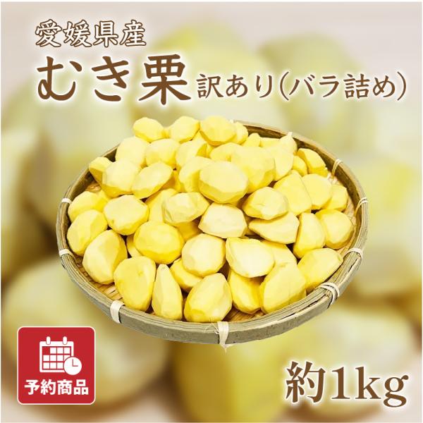 ＼予約開始しました／届いたらすぐに作れるむき甘栗です。甘みのあるほくほくとした黄色い身が特徴で、茹でたり煮たりスイーツにしたりと、様々な料理と相性がいいです。1kgのたっぷり楽しめるサイズをお買い得価格でご用意いたしました。お届け期間目安：...