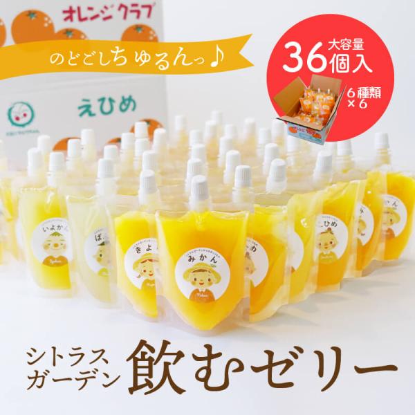 ＼つるんとのどごし♪フルーツゼリー／新発売記念☆今だけセール価格！ビタミンたっぷりの人気柑橘を食べやすい飲むゼリーにしました。愛媛の人気柑橘の6種を贅沢にゼリーに仕上げました。36個セット（6種類×6個）で詰め合わせてお届けします。かわいい...