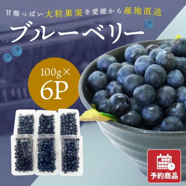 ＼予約開始しました／※出荷開始まで代引き不可です。※品種の育成状況により、入荷及び出荷開始時期は前後いたします。愛媛県産のブルーベリーを産地直送でお届けいたします。目の機能を回復させるアントシアニンや、ビタミンC、ビタミンE、食物繊維、ミネ...