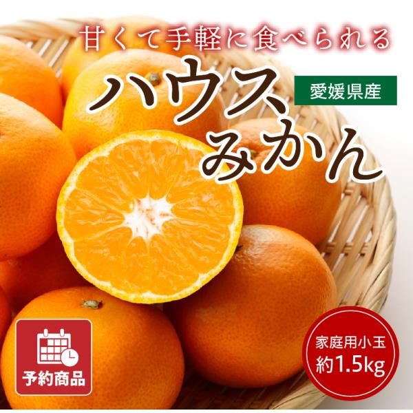 ＼予約開始しました／※出荷開始まで代引き不可です。※品種の育成状況により、入荷及び出荷開始時期は前後いたします。甘くて手軽に食べられる人気品種！子供からお年寄りまで喜ばれます！お届け期間目安：7月中旬〜8月下旬　内容：家庭用 小玉 約1.5...
