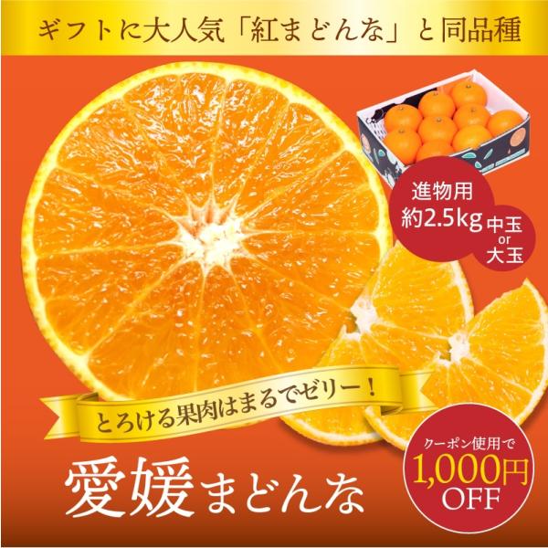 ＼出荷開始いたしました／お届け期間目安：11月下旬〜1月上旬ゼリーのようなプルプル食感がたまらない愛媛まどんな。柔らかい果肉には果汁がたっぷりで酸味が少なく食べやすいです。美しく高級感のある見た目からギフトに大人気です！内容量 【進物用・ギ...