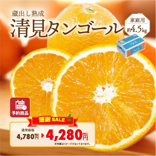 ＼感謝セール500円OFF／お届け期間目安：５月上旬〜６月上旬通常価格4,780円がなんと4,280円！！※見た目に多少のばらつきや傷みがあるものが含まれます。何卒ご了承ください。※出荷開始まで代引き不可です。※品種の育成状況により、入荷及...