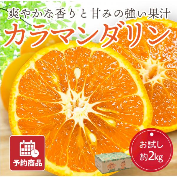 ＼予約開始いたしました！／お届け期間目安：4月中旬〜5月中旬※出荷開始まで代引き不可です。※品種の育成状況により、入荷及び出荷開始時期は前後いたします。オレンジ風の温州みかんです。爽やかな香りと甘みの強い果汁で、手軽に食べられます。内容量 ...