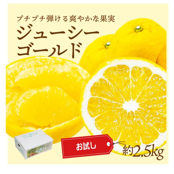＼出荷開始しました！／お届け期間目安：4月中旬〜８月上旬頃まで木成り完熟栽培（出荷の直前まで木になったまま）のため、5〜6月半ばごろの果実は、甘さとほどよい酸味があり果汁が多くジューシーです。７月以降の果実は、果汁が少なくなりプチプチとした...
