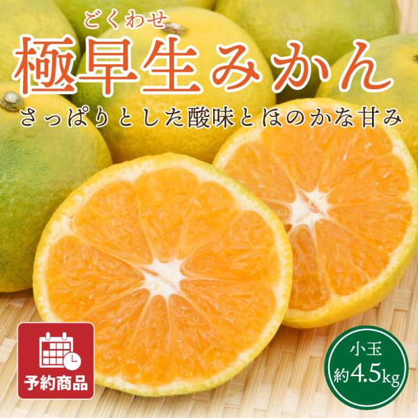 ＼予約開始いたしました／さっぱりとした酸味とほのかな甘みのバランスが絶妙です。お届け期間目安：9月下旬〜10月中旬※出荷開始まで代引き不可です。※品種の育成状況により、入荷及び出荷開始時期は前後いたします。　【内容】小玉約4.5kg※掲載写...