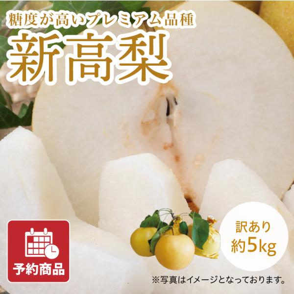 ＼予約開始しました／※出荷開始まで代引き不可です。※品種の育成状況により、入荷及び出荷開始時期は前後いたします。みずみずしい甘みとシャキッとした食感。一個一個袋掛けされて育った高品質の梨をお届けします。※こちらは訳あり商品です。※見た目に傷...