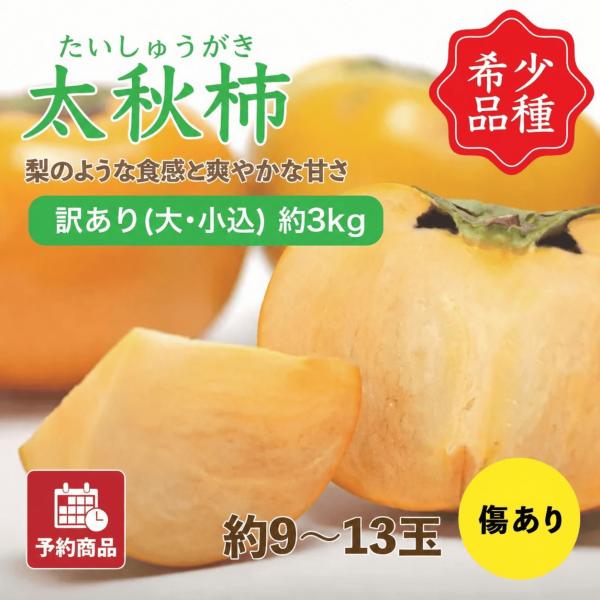 ＼予約開始いたしました／お届け期間目安：9月下旬頃〜10月中旬頃※出荷開始まで代引き不可です。※品種の育成状況により、入荷及び出荷開始時期は前後いたします。こちらの商品は大変希少品種となっております。太秋柿(たいしゅうがき)は青い見た目とは...