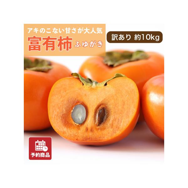 ＼予約開始しました／お届け期間目安：10月下旬〜12月初旬※出荷開始まで代引き不可です。※品種の育成状況により、入荷及び出荷開始時期は前後いたします。甘柿といえば富有柿(ふゆがき)！といわれるくらいポピュラーな品種です。アキのこない甘さが人...