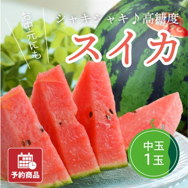 ＼予約開始しました／とっても甘〜いすいか夏の風物詩！とっても甘い中玉すいかです。※出荷開始まで代引き不可です。※品種の育成状況により、入荷及び出荷開始時期は前後いたします。お届け目安：7月中旬〜8月中旬頃まで内容：中玉1玉保証について：お客...