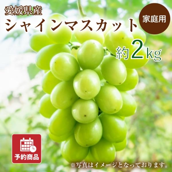 ＼予約開始しました／※出荷開始まで代引き不可です。※品種の育成状況により、入荷及び出荷開始時期は前後いたします。種なしで皮ごと食べられる！種なしで皮ごと食べられる、香り豊かな極甘マスカット。※こちらは家庭用商品です。※傷があるものが含まれま...