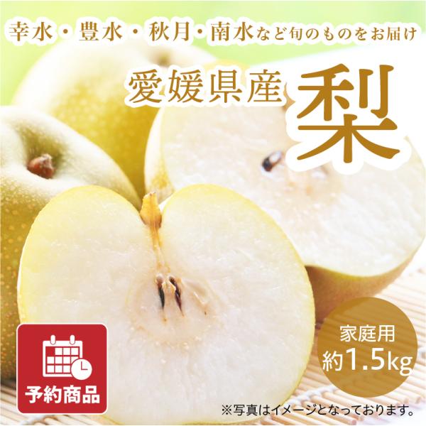 ＼予約開始しました／※出荷開始まで代引き不可です。※品種の育成状況により、入荷及び出荷開始時期は前後いたします。幸水・豊水・秋月・南水など旬のものをお届けいたします。みずみずしい甘みとシャキッとした食感。※こちらは家庭用商品です。※見た目に...