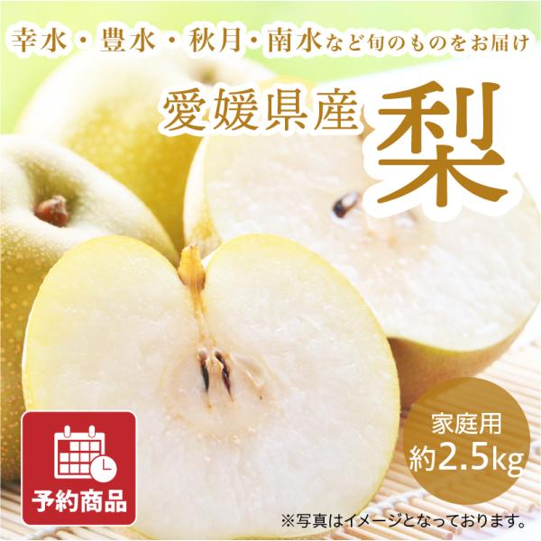 ＼予約開始しました／※出荷開始まで代引き不可です。※品種の育成状況により、入荷及び出荷開始時期は前後いたします。幸水・豊水・秋月・南水など旬のものをお届けいたします。みずみずしい甘みとシャキッとした食感。※こちらは家庭用商品です。※見た目に...