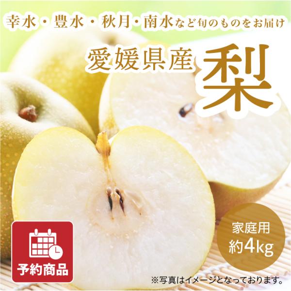 ＼予約開始しました／※出荷開始まで代引き不可です。※品種の育成状況により、入荷及び出荷開始時期は前後いたします。幸水・豊水・秋月・南水など旬のものをお届けいたします。みずみずしい甘みとシャキッとした食感。※こちらは家庭用商品です。※見た目に...