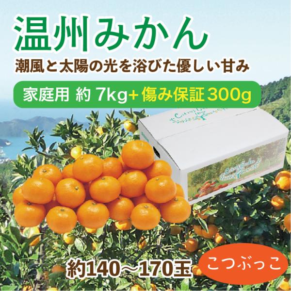 ＼出荷開始いたしました／お届け期間目安：10月中旬〜2月上旬潮風と太陽の光をたっぷり浴びた愛媛西宇和の温州みかんです。やさしい甘みとバランスの良い絶妙な酸味が人気のひみつです。内容量 約7kg 約140~170玉傷み保証について ※配送中に...