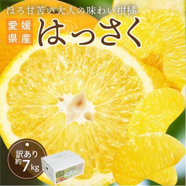 ＼出荷開始いたしました！／お届け期間目安：2月下旬〜３月下旬甘いだけじゃなく、ほのかな苦味があり、パリッとした食感が特徴です。内容量 訳あり 約7kg保存方法 直射日光を避け、常温保存保証について：お客様事情により発送から3日後以降に受け取...