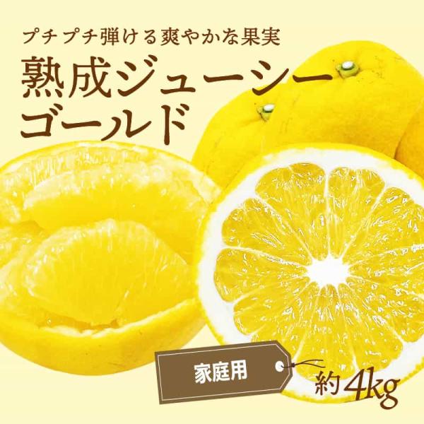 お届け期間目安：４月中旬〜８月上旬頃まで木成り完熟栽培（出荷の直前まで木になったまま）のため、5〜6月半ばごろの果実は、甘さとほどよい酸味があり果汁が多くジューシーです。７月以降の果実は、果汁が少なくなりプチプチとした食感を楽しめます。【内...