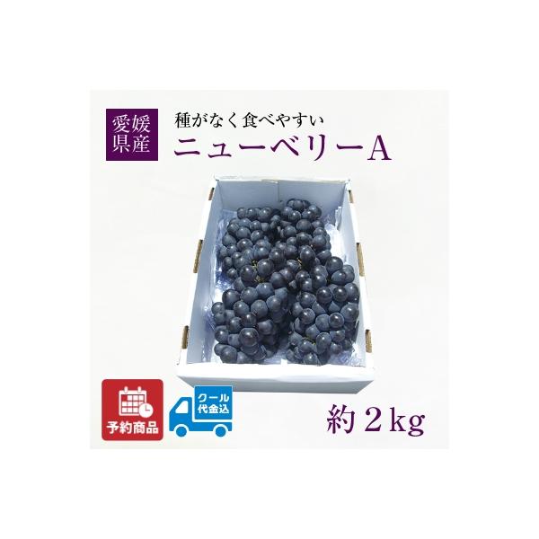 ＼予約開始しました／種なしが嬉しい人気品種！濃厚な甘味だけど爽やか種なしが嬉しい人気品種。お届け期間目安：8月下旬〜9月中旬※出荷開始まで代引き不可です。内容：約2kg ※輸送中に房から実が外れることがあります。何卒ご了承くださいませ。※こ...