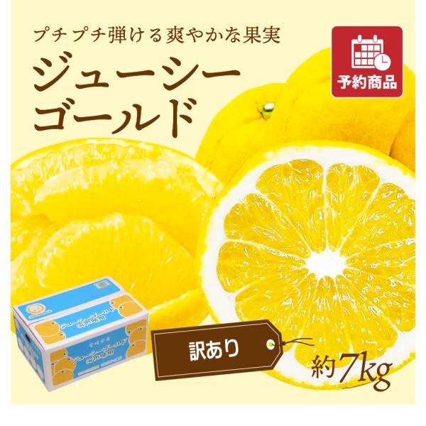 こちらの商品は「訳あり」での販売です。予めご了承ください。＼予約開始しました／お届け期間目安：４月中旬〜８月上旬頃まで※出荷開始まで代引き不可です。※品種の育成状況により、入荷及び出荷開始時期は前後いたします。キズが多く見た目は悪いけど味は...