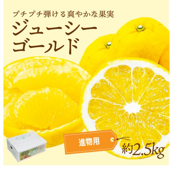 ＼出荷開始しました！／お届け期間目安：４月中旬〜８月上旬頃まで木成り完熟栽培（出荷の直前まで木になったまま）のため、5〜6月半ばごろの果実は、甘さとほどよい酸味があり果汁が多くジューシーです。７月以降の果実は、果汁が少なくなりプチプチとした...