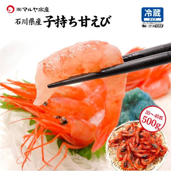 【発売日：2026年05月01日】商品紹介：石川県沖の近海底引き網漁で水揚げした甘えびから、卵を持った子持ち甘えびだけを選別し、約500g（30〜40匹）を詰めて産地直送。獲れたてを冷凍せず未冷凍のままクール冷蔵便で届けるので、口に入れた瞬...