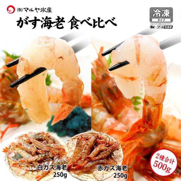 商品紹介：石川県で水揚げされる「白ガスエビ」と「赤ガスエビ」を、お刺身用に食べ比べできる贅沢セット。とろける甘みと上品な舌触りの白ガスエビ、旨みが濃くコク深い赤ガスエビ、見た目には良く似ていますがそれぞれの個性が一口で分かります。獲れたての...