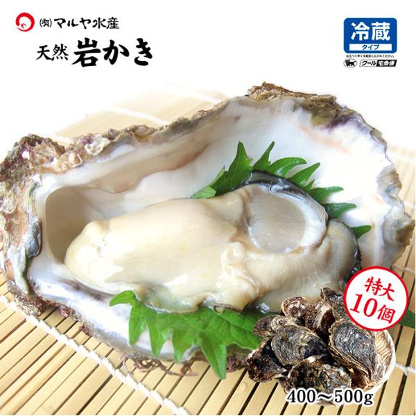 石川県の加賀〜能登の各地で獲れる生食用「天然の岩かき」から、特大サイズのものを10個お得な送料無料でお届けします。海のミルクとも呼ばれる岩かきは、生食（生のままポン酢をつけて）はもちろん、焼き牡蠣・フライなどでもお召し上がり下さい。自然な海...