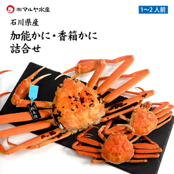 【発売日：2026年11月11日】石川県産の加能かにから中サイズのずわい蟹(茹で)1匹と小サイズの香箱蟹2匹(茹で)を詰め合せ、お得な送料無料でお届け致します。商品名：ずわいがに(加能かに)と香箱カニの詰め合わせ※平成18年から石川県で水揚...